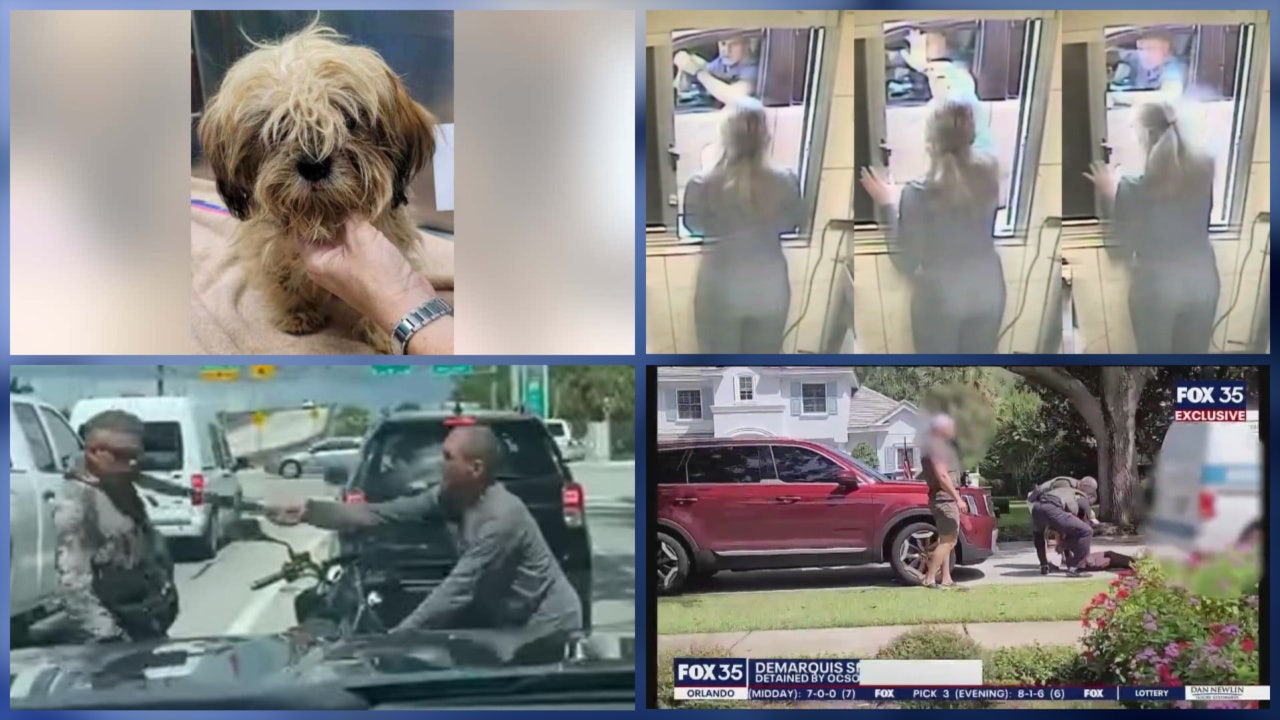 FL driver swings machete in road rage incident • FL fast food worker ...