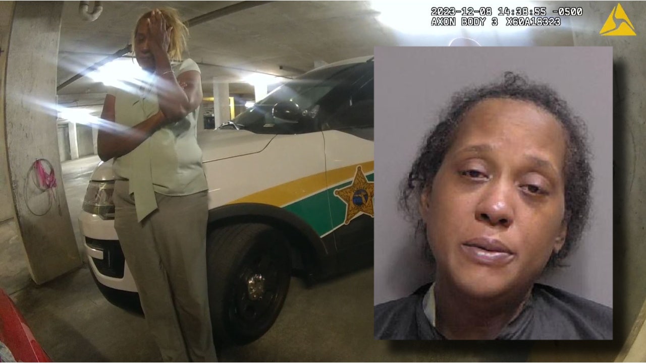 Florida woman arrested for Walmart theft, drunken hit-and-run crash in ...