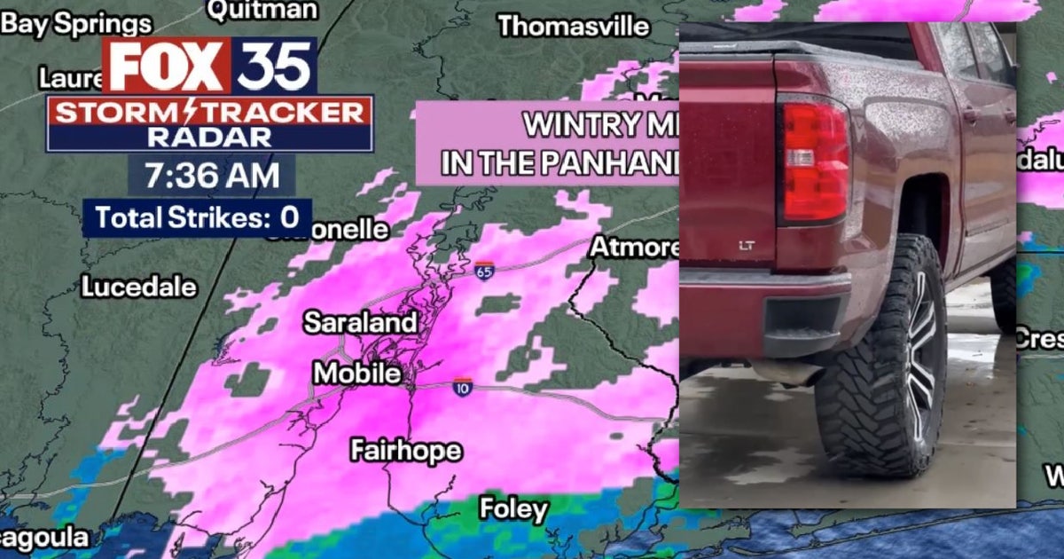 Snow in Florida?! Panhandle wakes up to rare, wintry mix on Tuesday ...