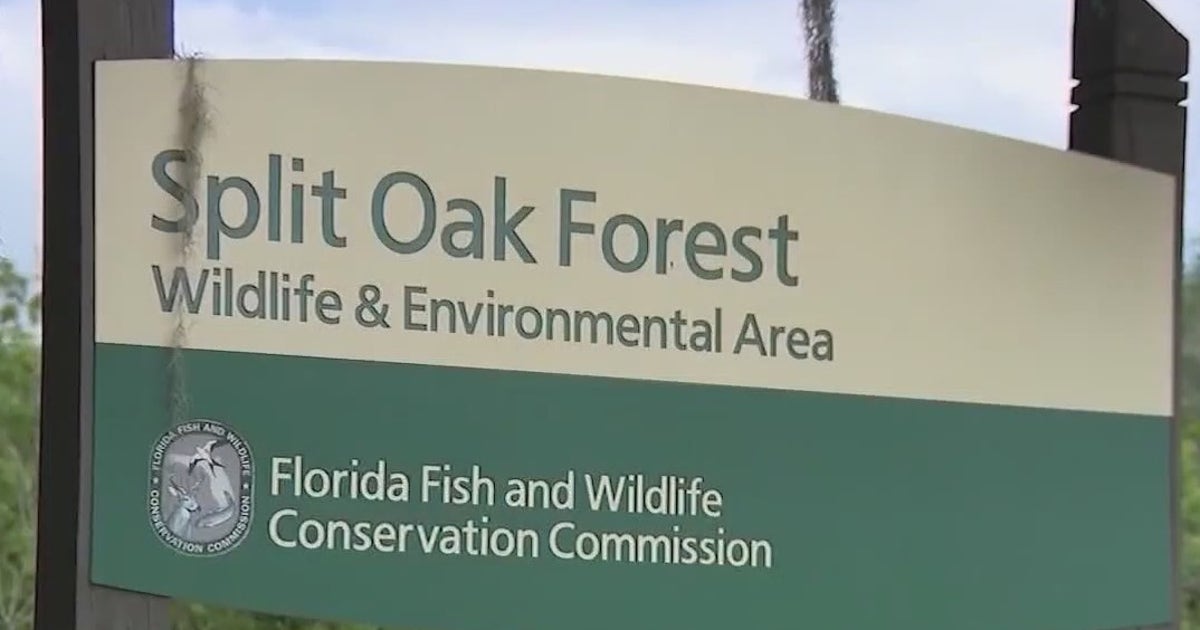 Protesters rally against Split Oak toll road as Orange County weighs ...