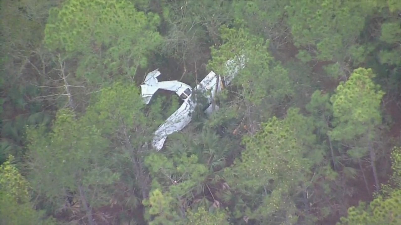 Plane crashes in Lake George State Forest, deputies say | FOX 35 Orlando