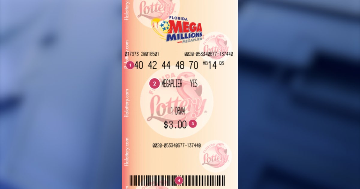 Winning $1M Mega Millions lottery ticket sold at Florida Publix | FOX ...