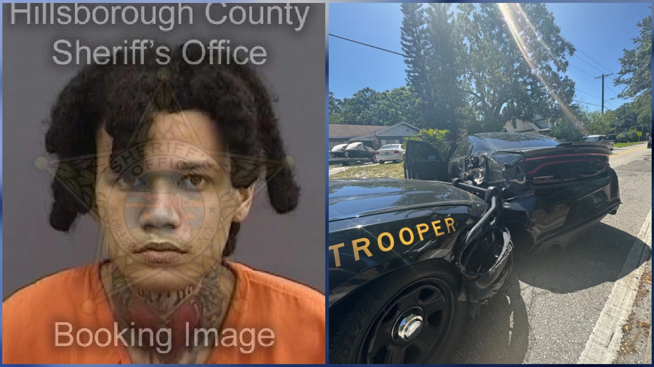 Florida man, 22, arrested after fleeing trooper at speeds over 147 mph on I-275: troopers | FOX ...