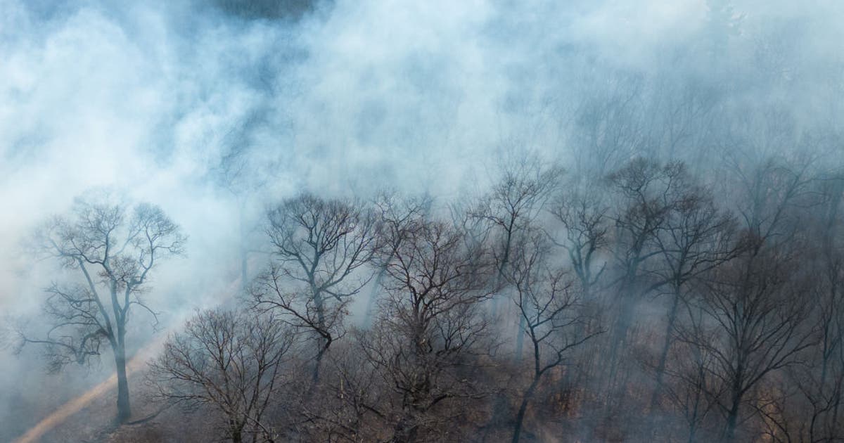 Brevard County prescribed burn taking place today: What is the purpose ...