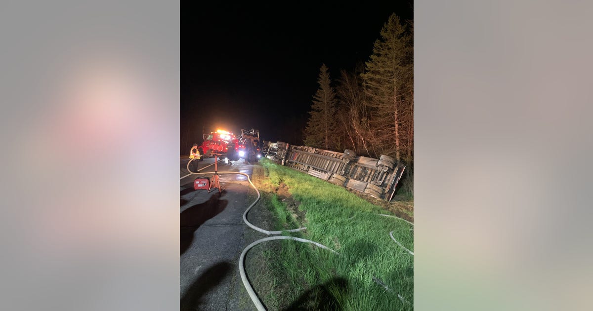 15 million bees contained after bee-laden truck crashes in Maine | FOX ...