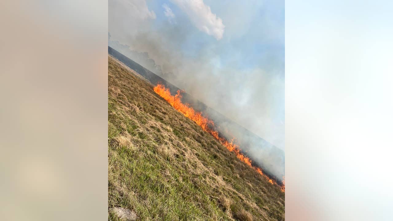 Large brush fire damages equipment on Palm Bay solar farm, officials ...