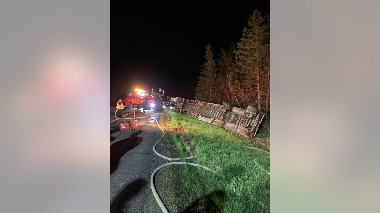 15 million bees contained after bee-laden truck crashes in Maine | FOX ...