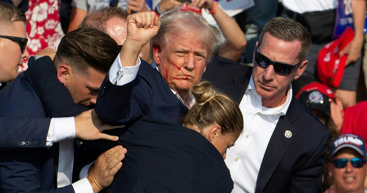 Bipartisan task force members named in investigation into Trump ...