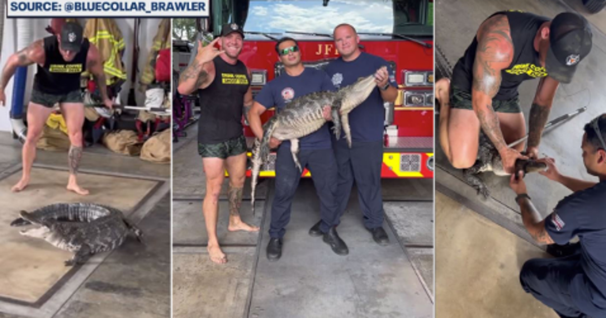 Barefoot Florida man wrangles nuisance gator at Jacksonville fire ...