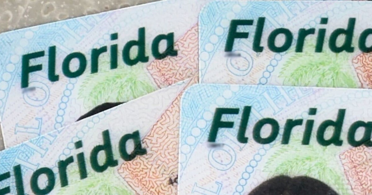 Why your new Florida driver's license will have random numbers on it ...