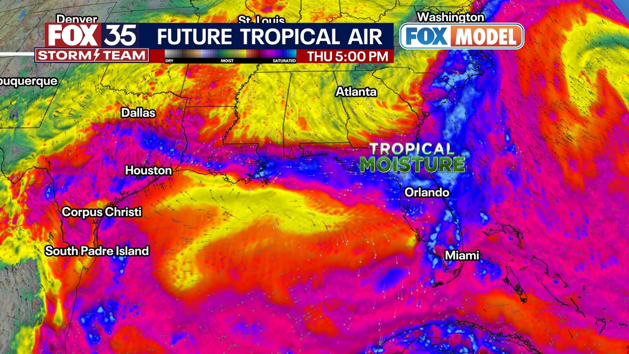Hurricane Beryl makes landfall in Texas: Will Florida see any indirect ...