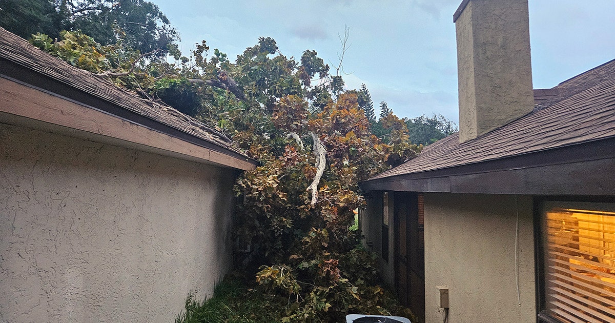 Hurricane Helene damage reported across Florida ahead storm's landfall ...