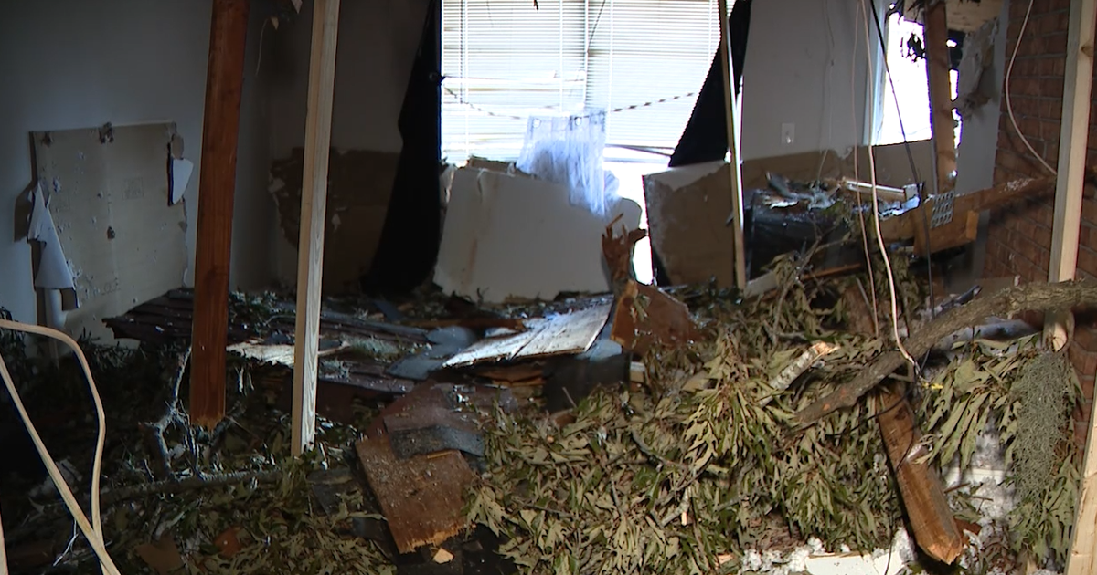 Family loses everything when tree falls on apartment during Hurricane ...