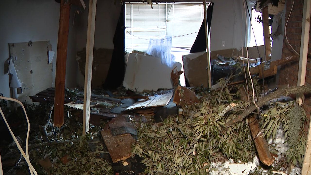 Family loses everything when tree falls on apartment during Hurricane ...