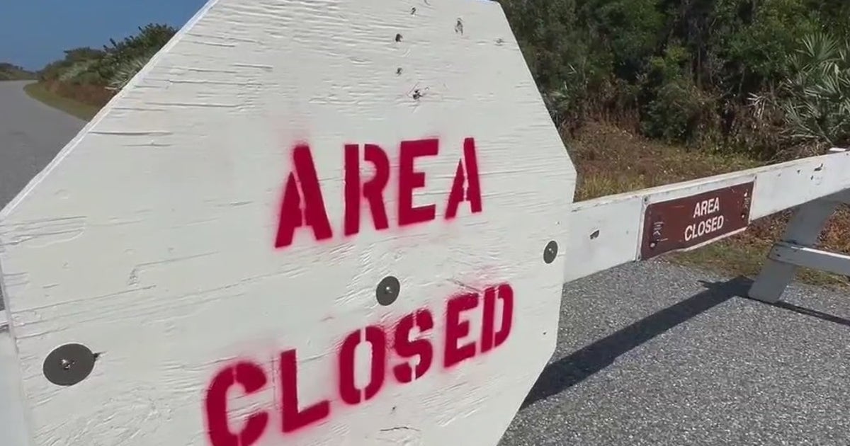 Canaveral National Seashore faces severe erosion, loses 800 sea turtle ...
