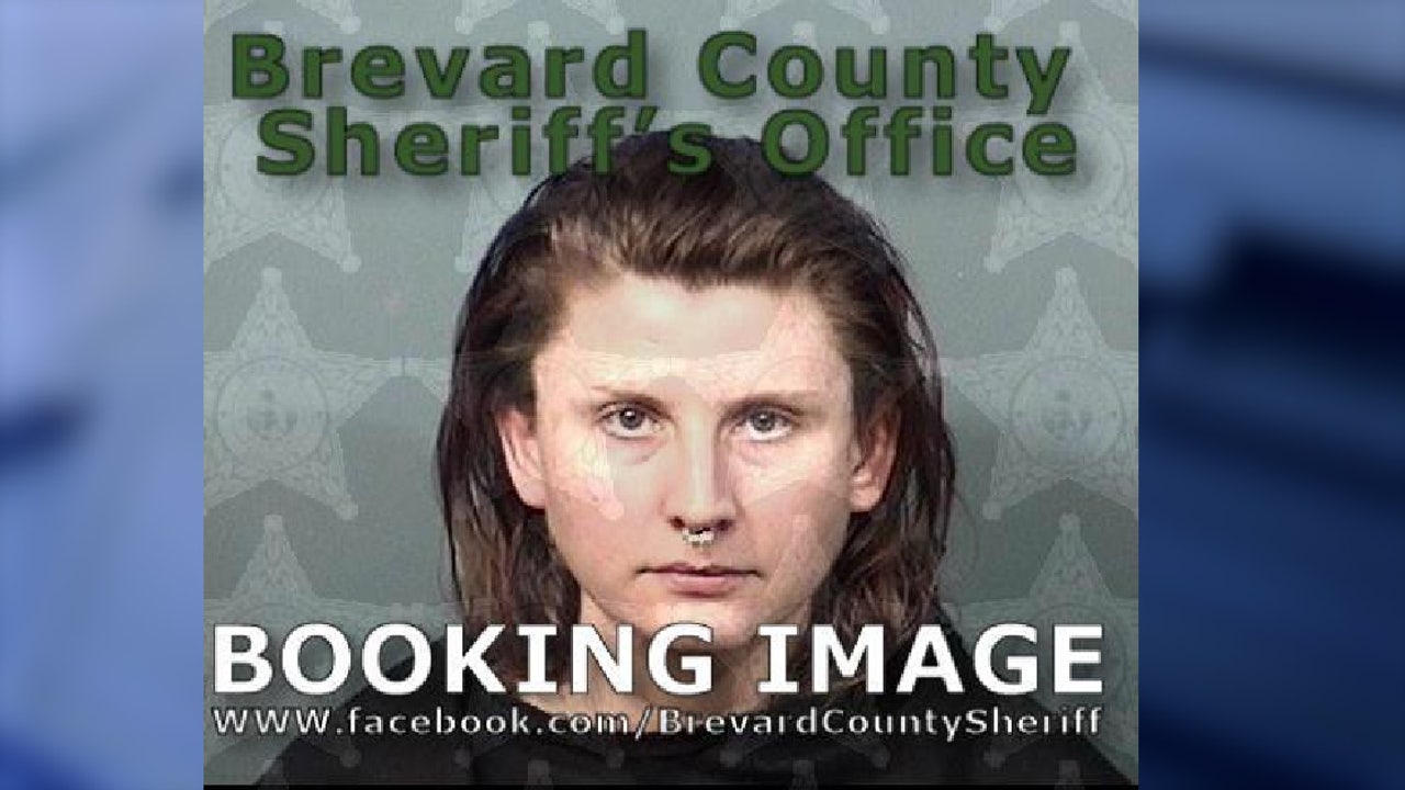 Florida woman shoots through apartment, narrowly missing head of ...