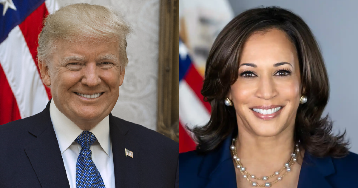 2024 United States Presidential Election live results: Interactive map ...