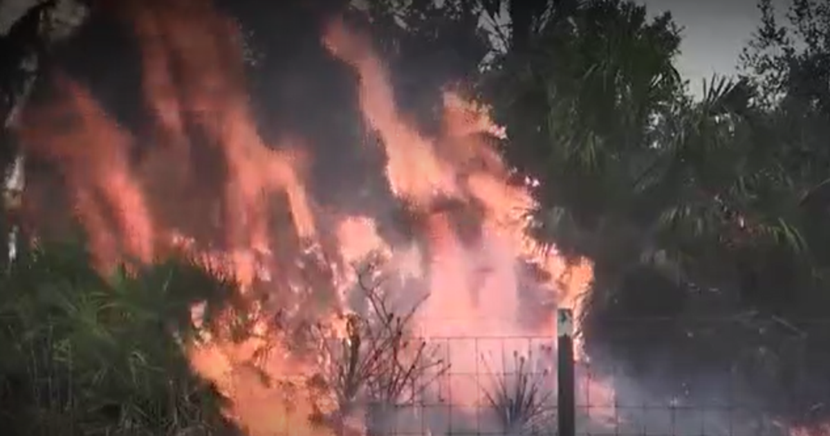 Florida leads the nation in prescribed burns for wildfire mitigation ...