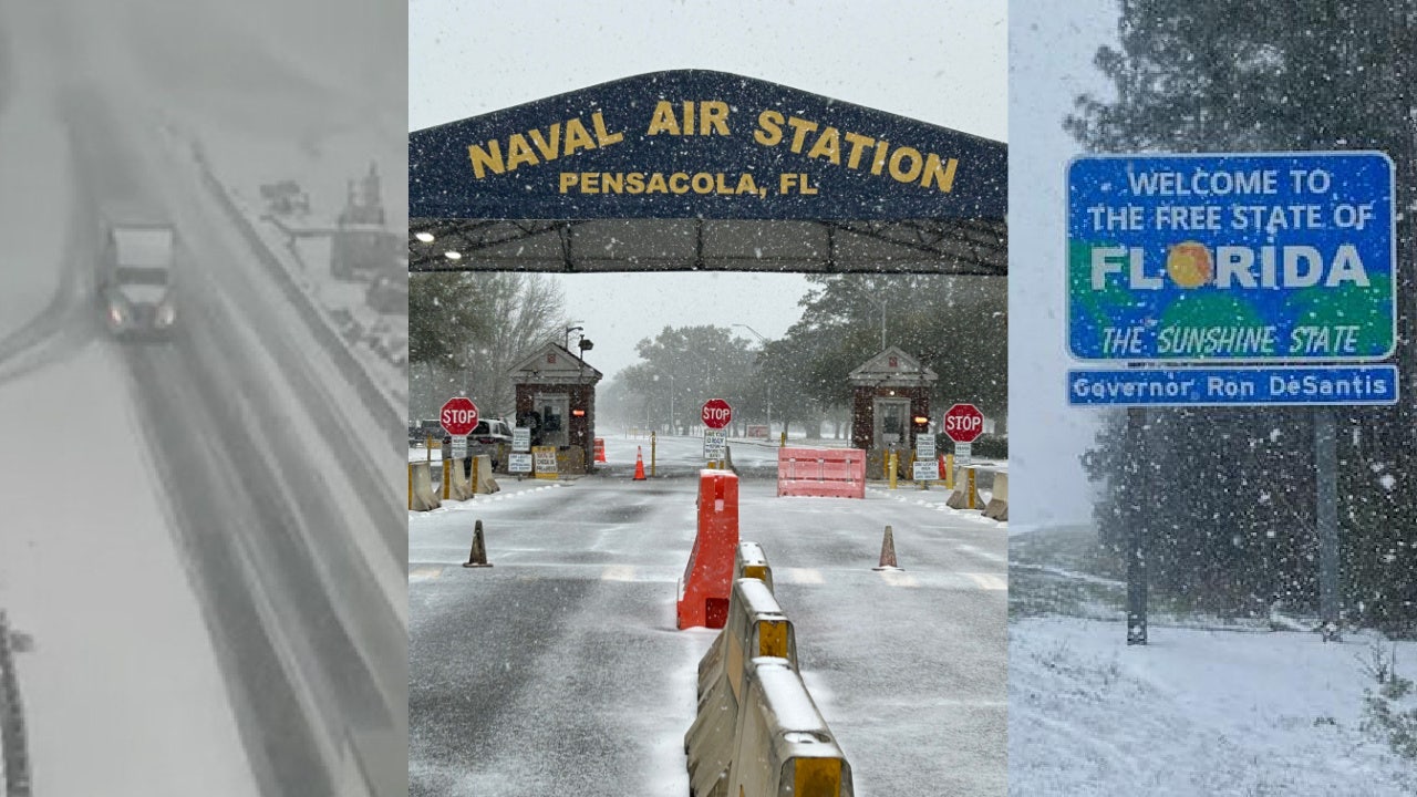 Snow in Florida: Best photos, videos of winter storm | FOX 51 Gainesville