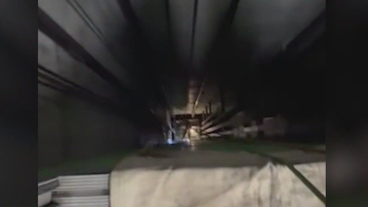 pitbull attacks owner in elevator