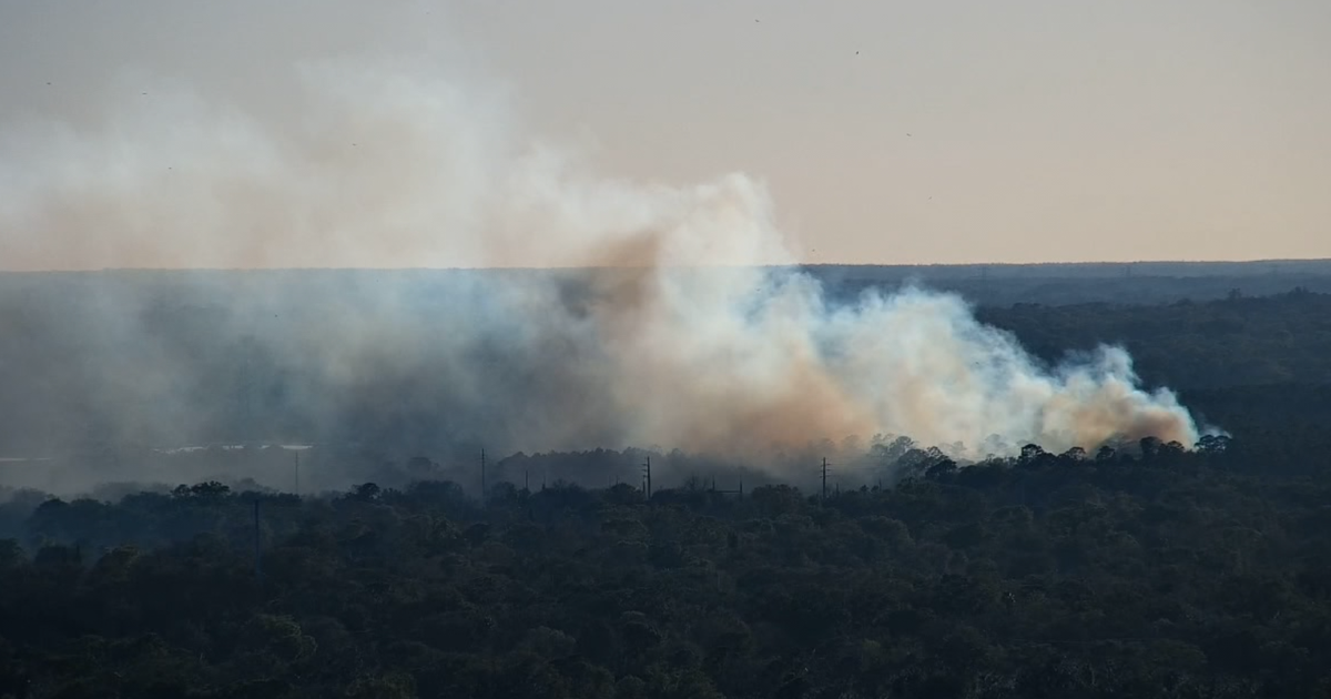 Crews battle brush fire near President Obama Parkway in Orlando | FOX ...