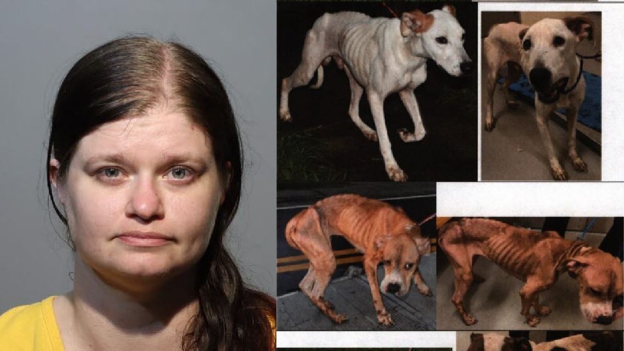 Florida woman sentenced to 7 years for animal cruelty at fake pet ...