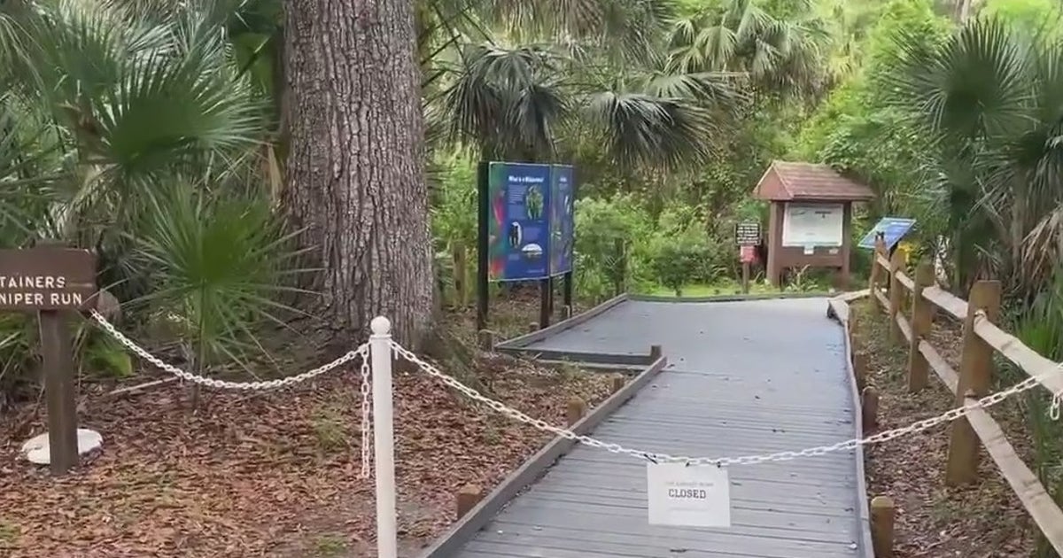 Massive alligator forces boating closure at Juniper Springs after ...