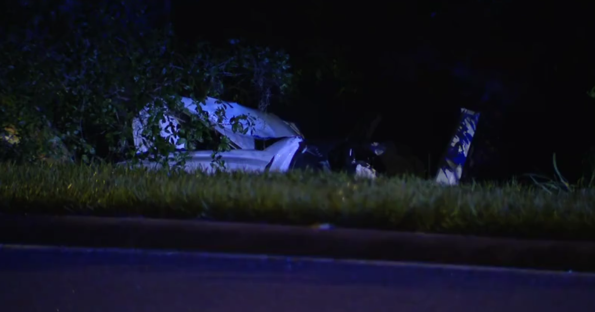 21-year-old arrested for DUI after driving into tree, seriously ...