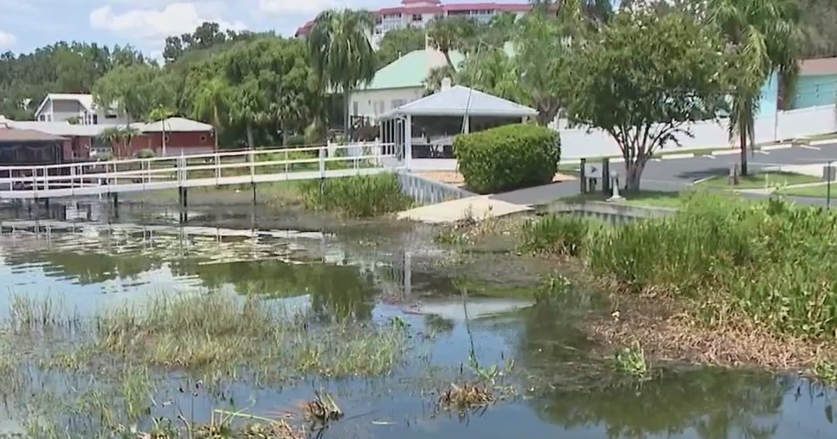 Mount Dora residents concerned about trash and debris flowing into Lake ...