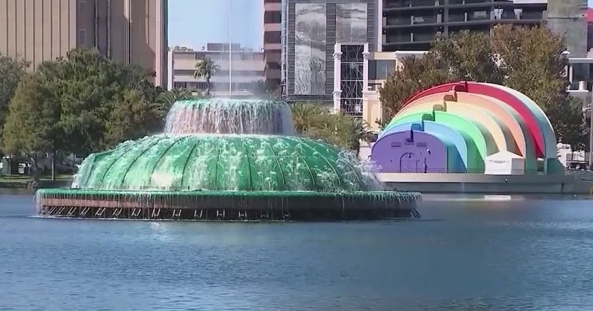 Orlando swan advocates raise concerns over Lake Eola conditions after ...