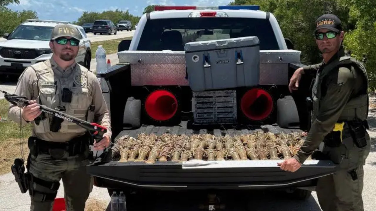 3 Florida men arrested, 53 spiny lobsters confiscated in illegal catch ...