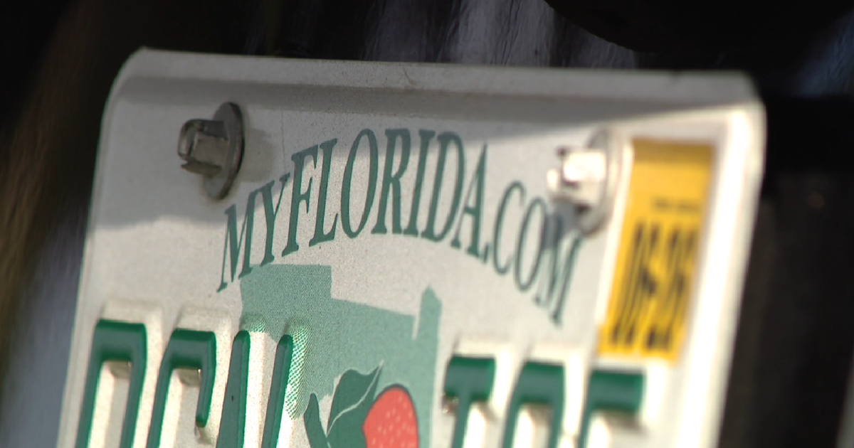 New Florida license plate law: What's OK and not OK? | FOX 35 Orlando