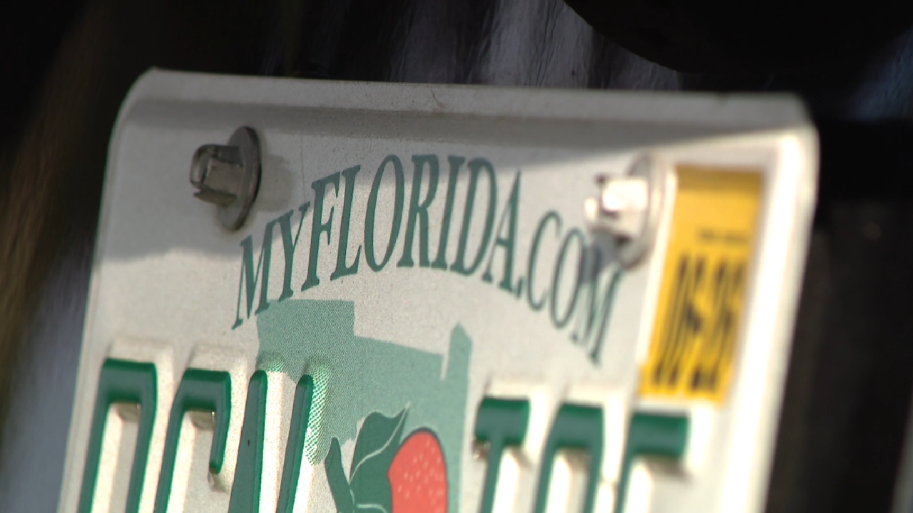 New Florida license plate law: What's OK and not OK? | FOX 35 Orlando