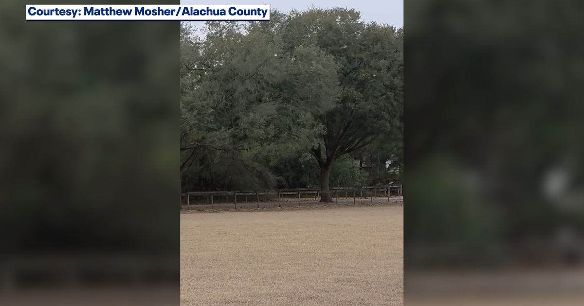 Snow flurries in Florida amid arctic freeze: photos and videos | FOX 35 ...