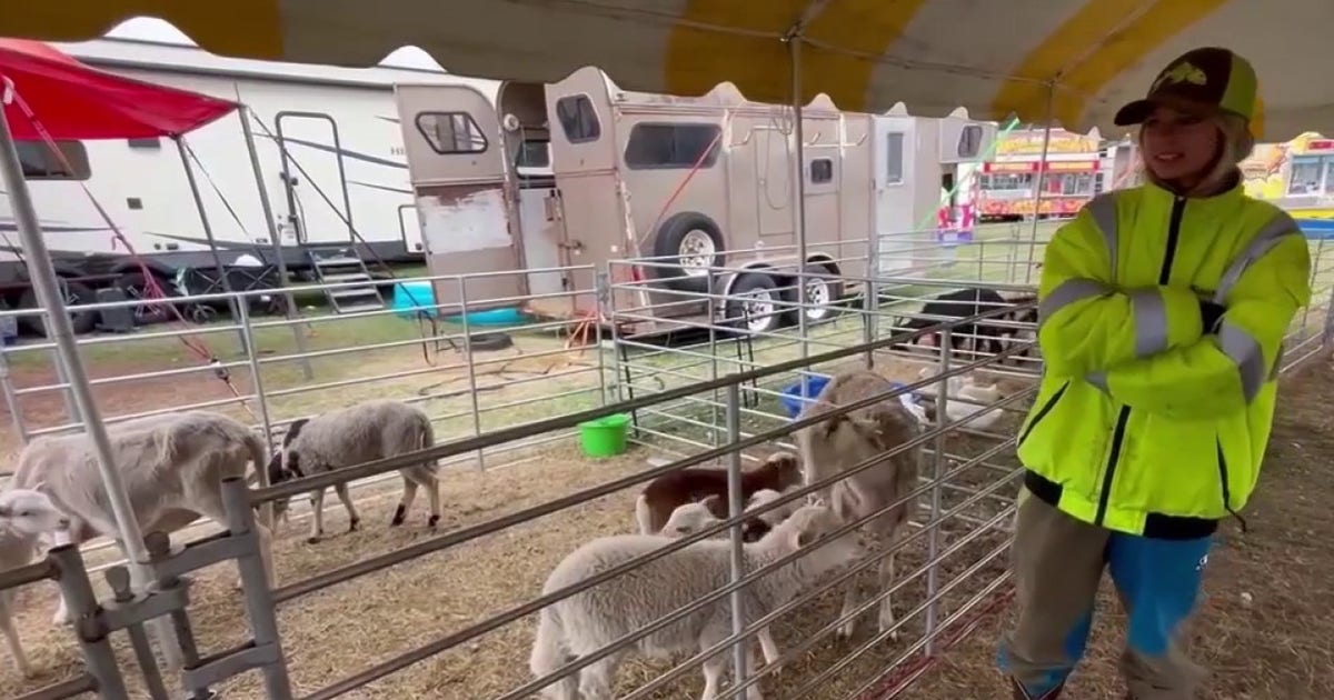 Baby goat stolen from Florida family fair: ‘Not going to survive’ | FOX ...