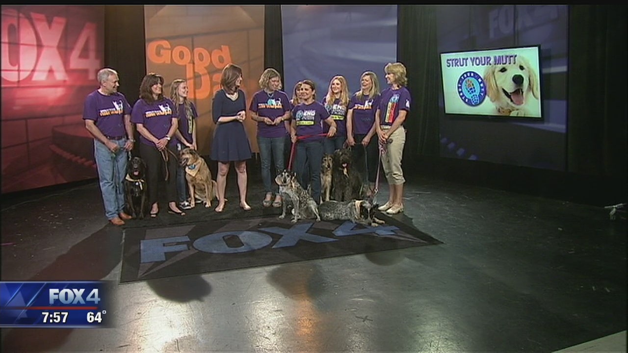 Strut your mutt | FOX 4 Dallas-Fort Worth
