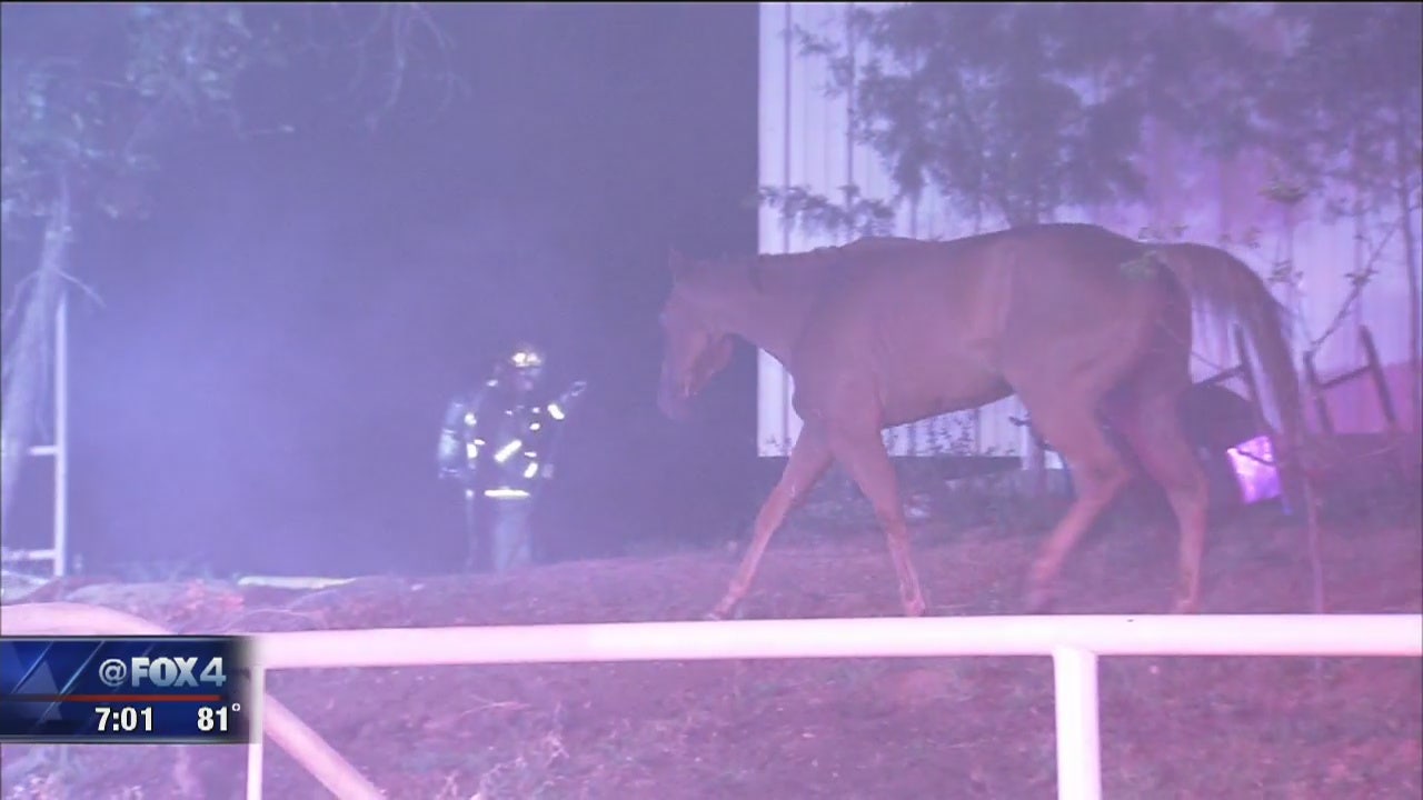 Firefighters save horses while fighting barn fire