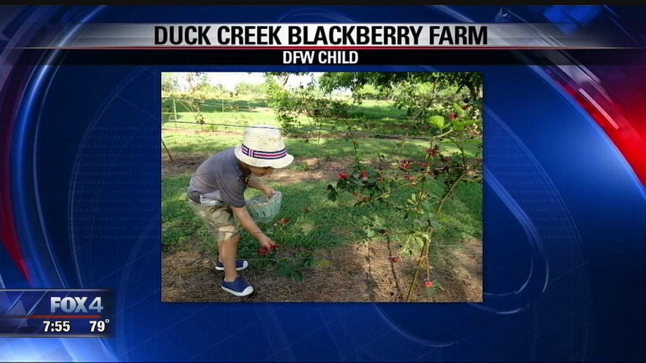 Save Me Steve: Things To Do This Summer