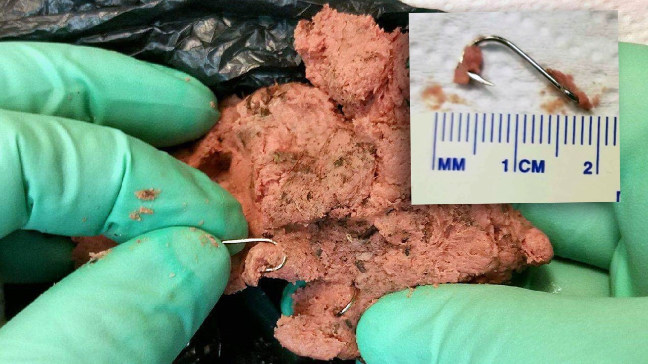 Hooks found in meat chunks at Florida dog park