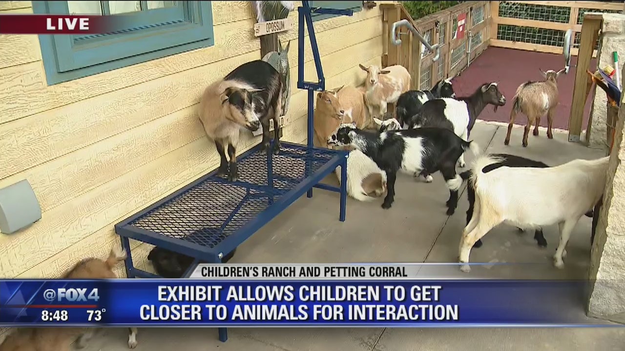 FW Zoo exhibit lets kids get closer to animals FW Zoo exhibit lets kids get closer to animals