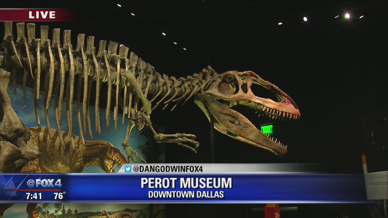 Ultimate Dinosaurs exhibit opens at Perot Museum | FOX 4 Dallas-Fort Worth Ultimate Dinosaurs exhibit opens at Perot Museum | FOX 4 Dallas-Fort Worth