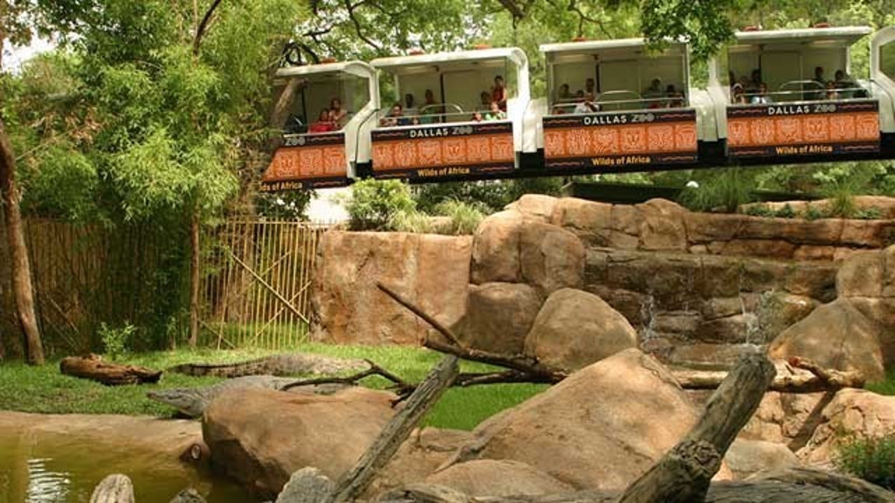 Dallas Zoo to renovate monorail | FOX 4 Dallas-Fort Worth