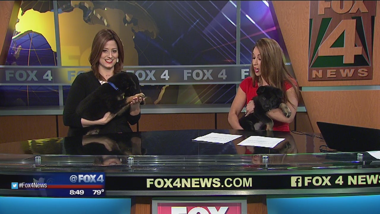 Operation Kindness | FOX 4 Dallas-Fort Worth