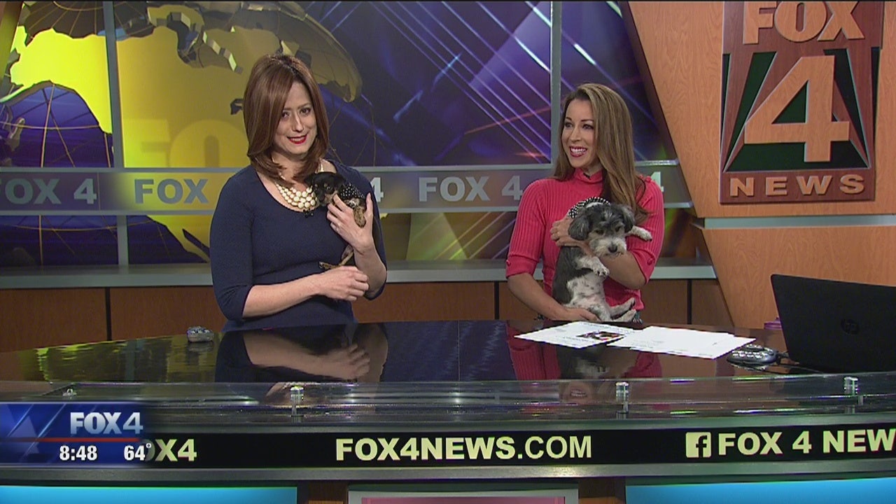 Aarom and Molly Ruth are ready for a new home! | FOX 4 Dallas-Fort Worth