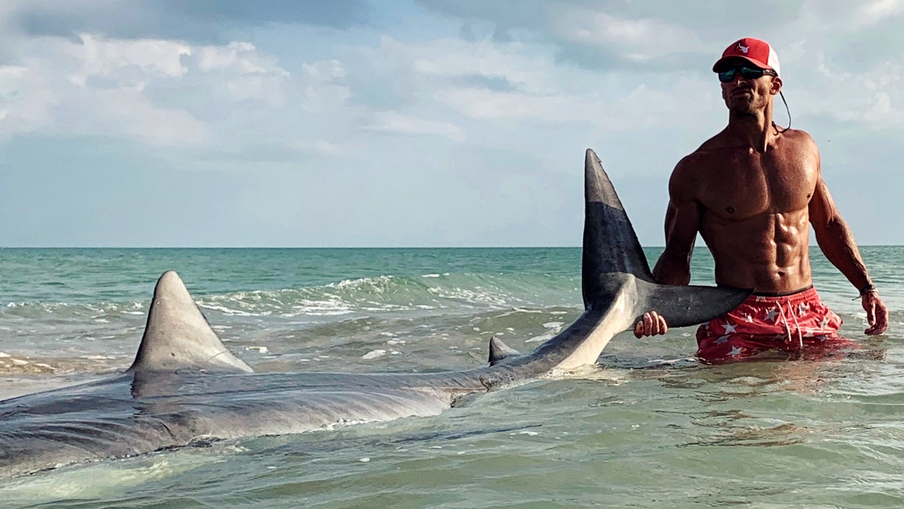 Fisherman catches and releases massive tiger shark off Sanibel | FOX 4 ...