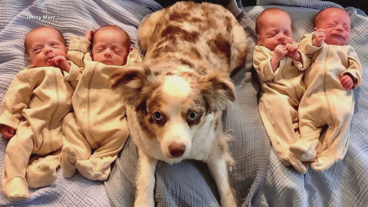 North Texas identical quads now all home from the NICU | FOX 4 News ...