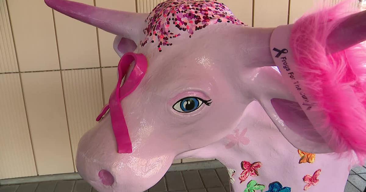 Pink cow named Hope touring Fort Worth to kick of Breast Cancer ...