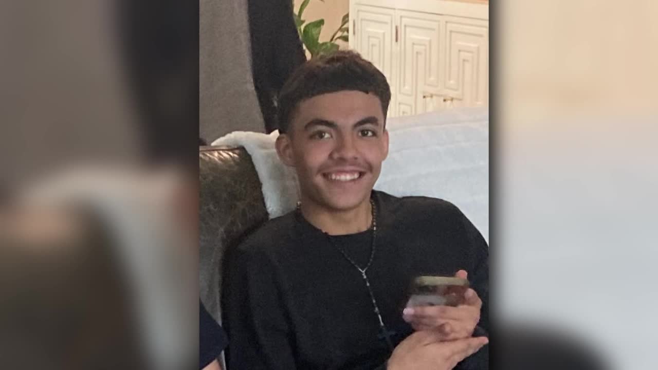 Garland 17-year-old killed after being struck by DART train | FOX 4 ...