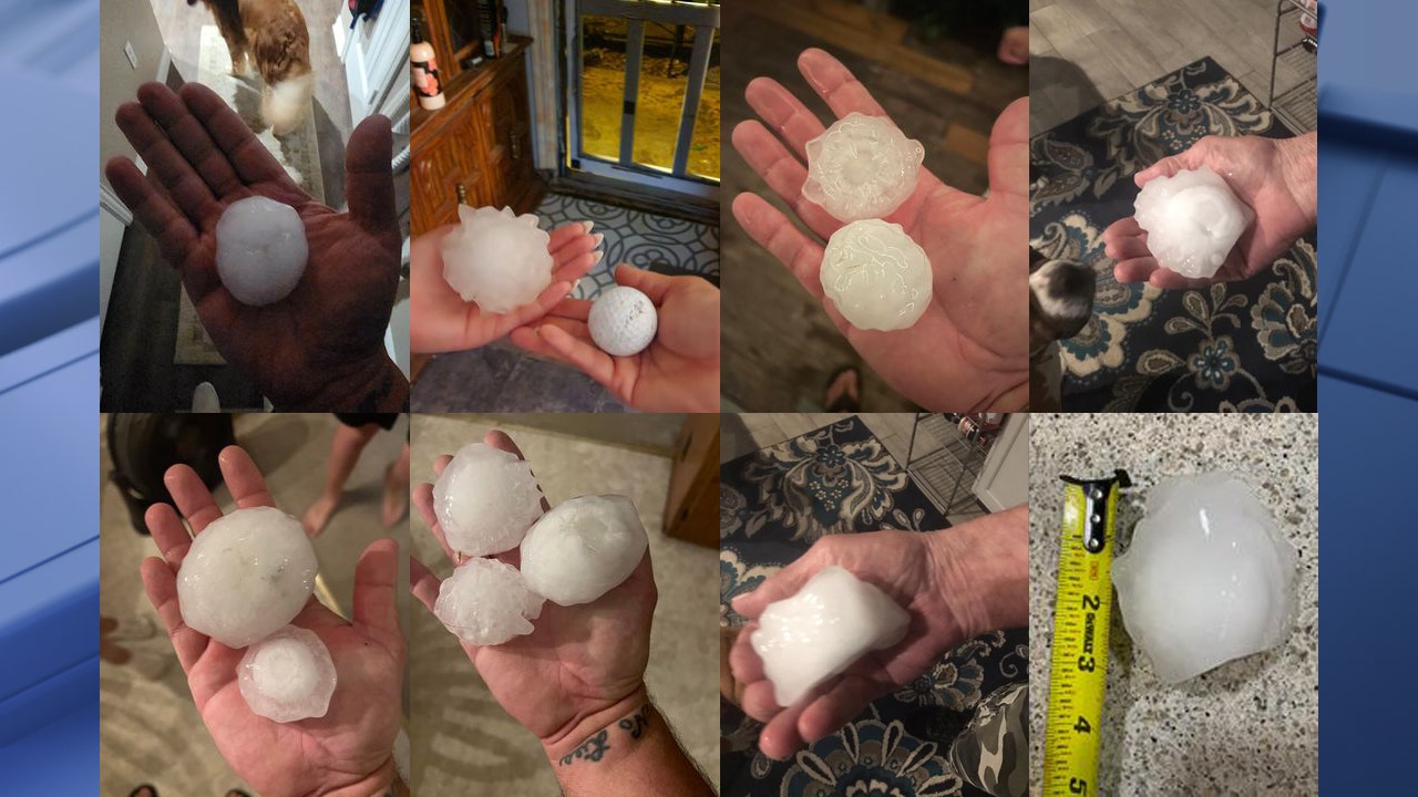 North Texas saw its largest hailstone ever earlier this month | FOX 4 ... North Texas saw its largest hailstone ever earlier this month | FOX 4 ...