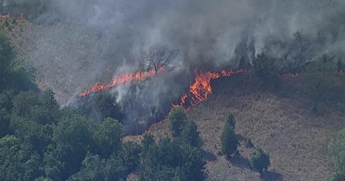 Gov. Greg Abbott declares wildfire disaster for three-fourths of Texas ...